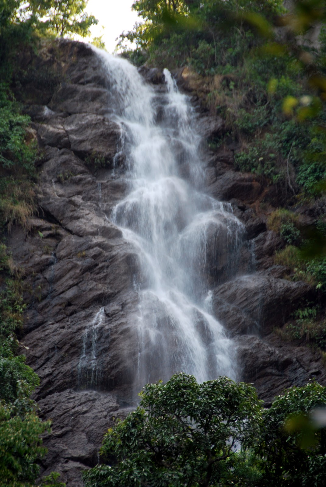 Sasi's Travel: My recent trip to Araku Valley