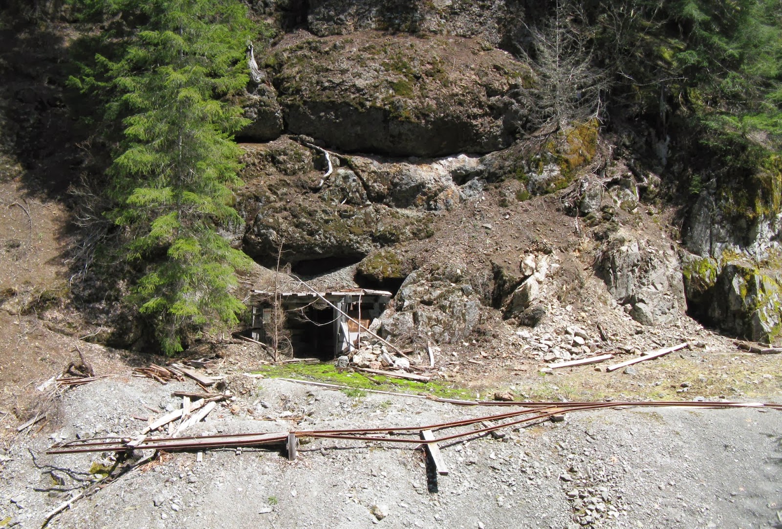 into the wild oregon: Opal Creek Upper Watershed