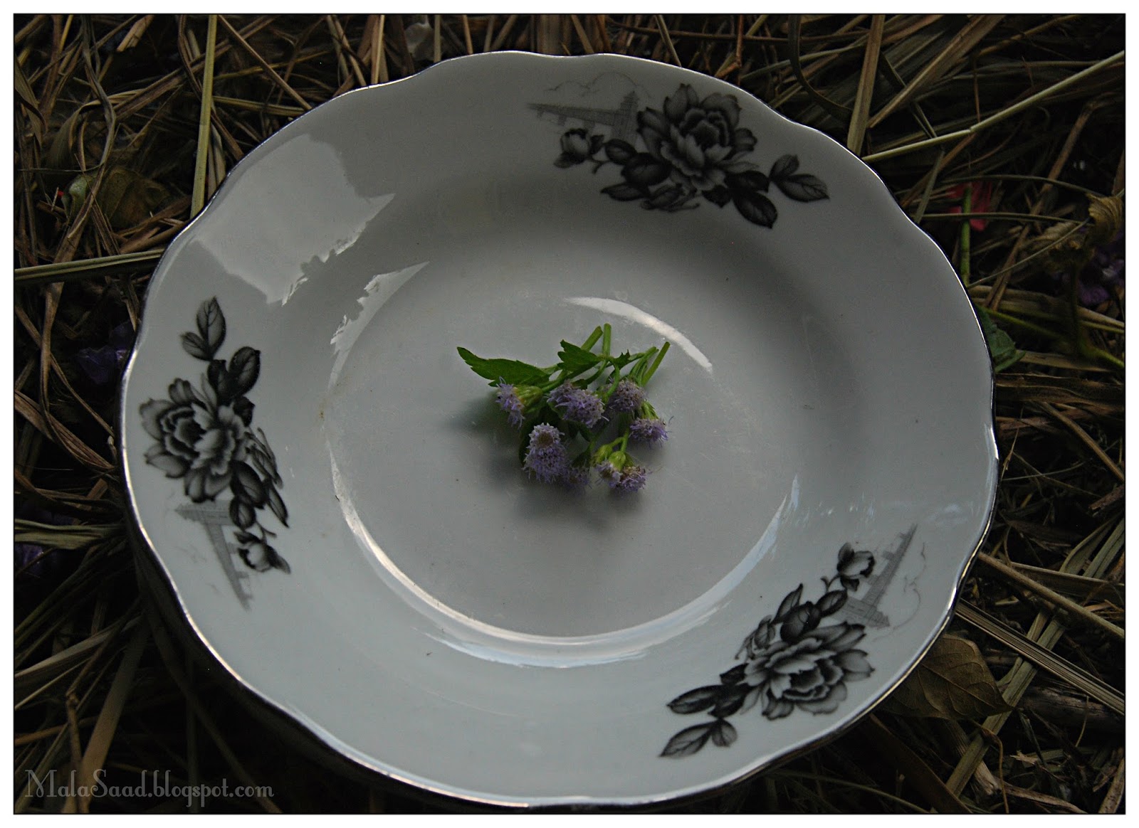 My Green Eye's: Nostalgia Pinggan Lama