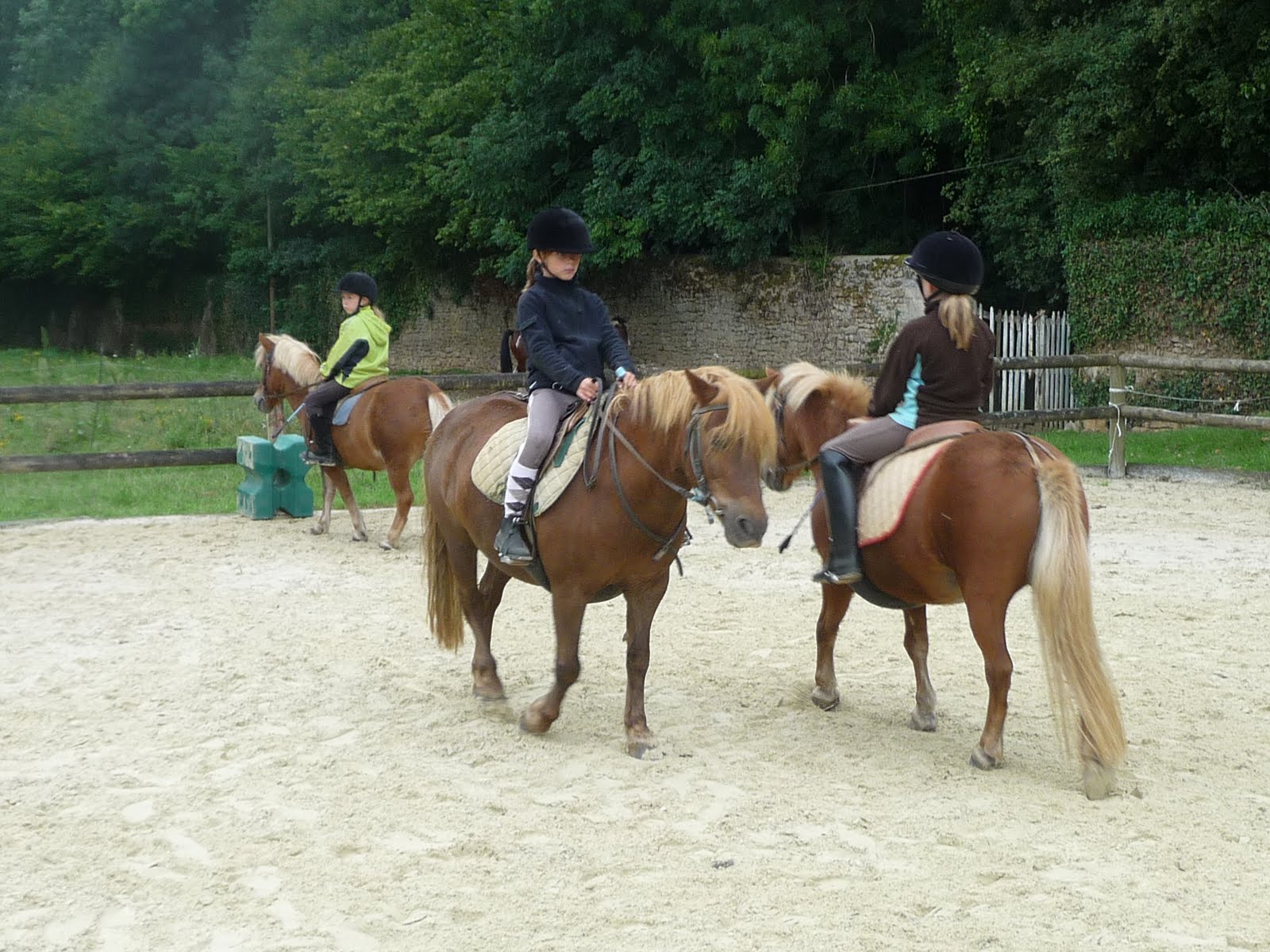 Poney Club d Alencon equitation
