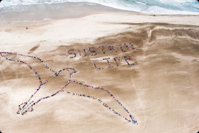 Fresh Pics: Human Aerial Art by John Q