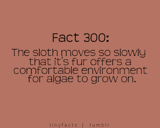 epiphany; the sudden realization or comprehension of the essence or ...