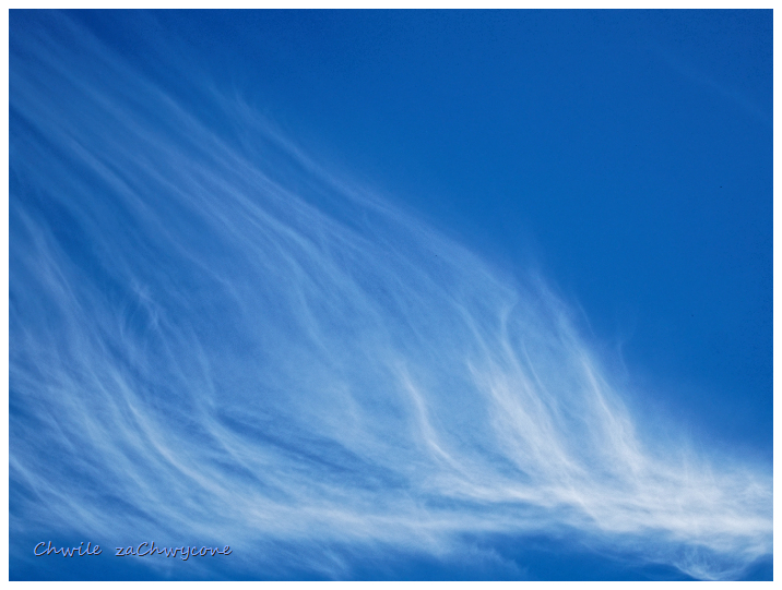 Chwile zaChwycone: Cirrusy, chmury nieba wysokiego