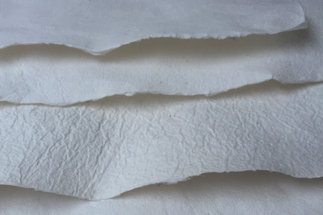 first steps in Paper Making!