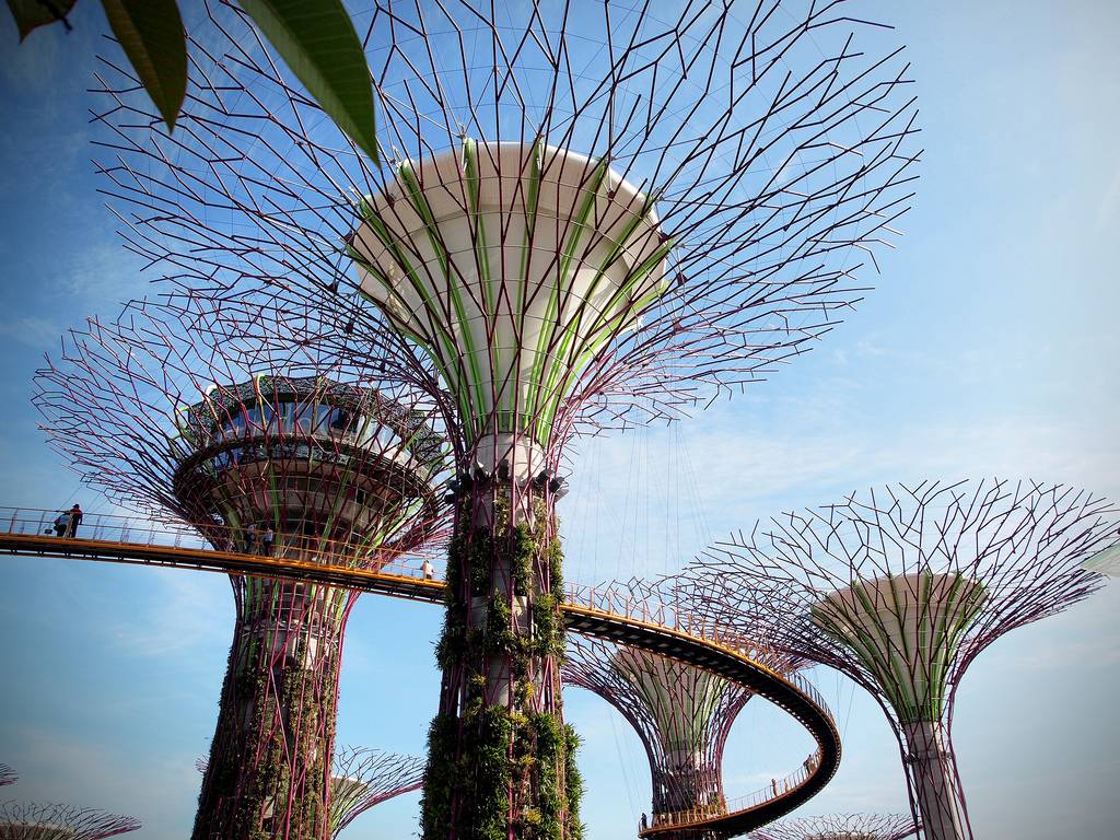 The Supertrees of Singapore ~ Kuriositas