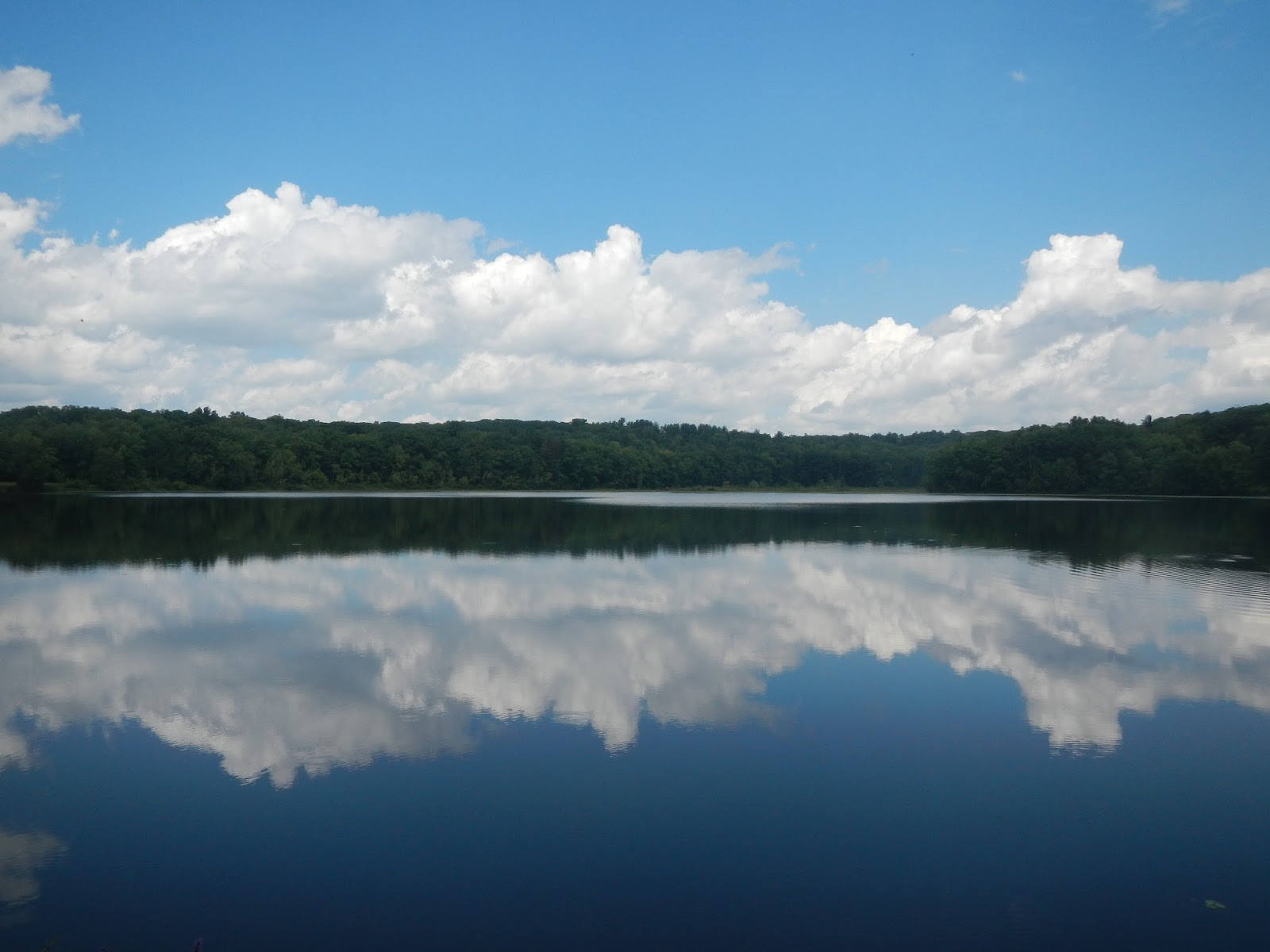 Taking Out the Trash in Eastern PA: Moon Lake Park (6-Aug-2016)