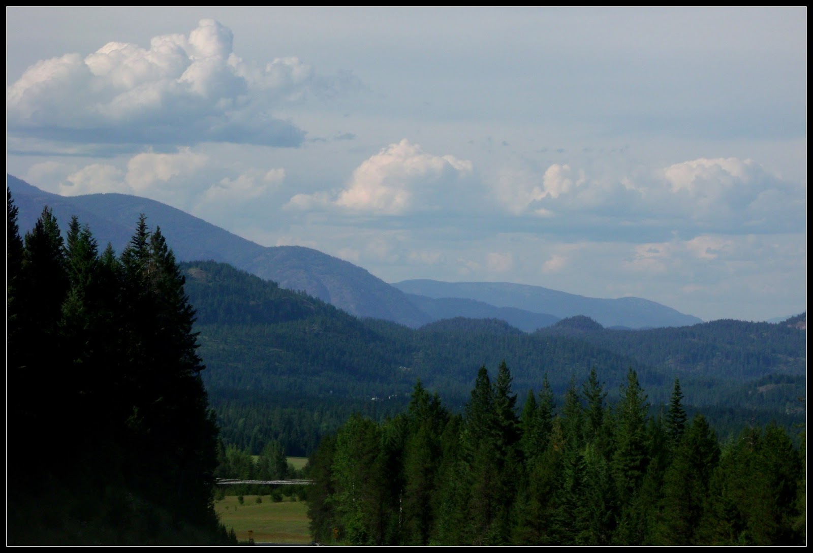 The Back Porch View: Exploring NorthEast Washington