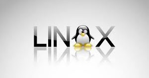 Interesting facts about Linux