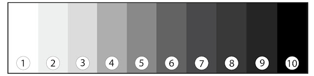 Hoffmann Watercolors: Beginning Watercolor 4/29/ 21: Value Scale and ...
