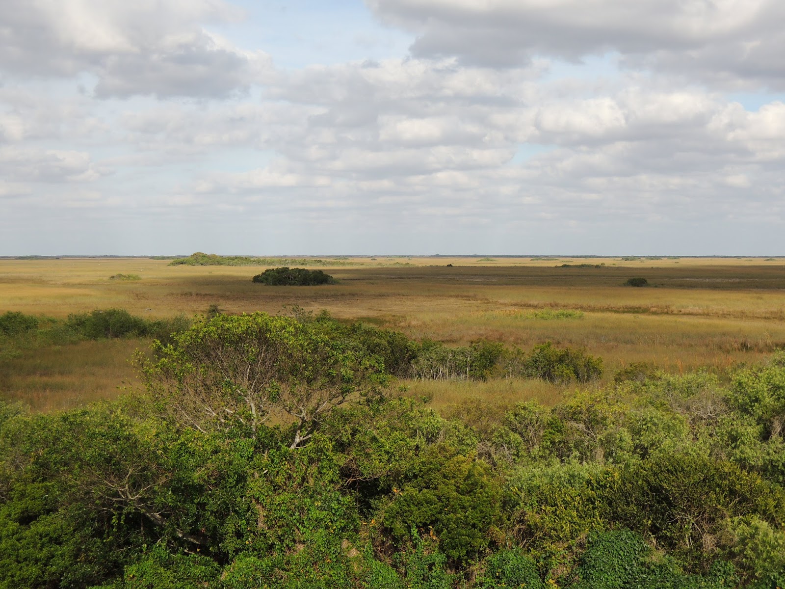 Shark Valley Bicycle Loop