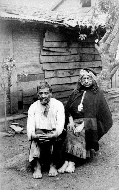 Diário de um Gaúcho Grosso: Índio mapuche ( Chile)