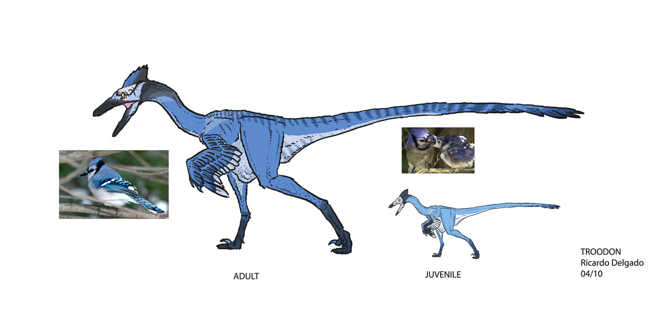 Ricardo Delgado's blog: Troodon