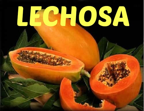 santiago30caballeros.com: Lechosa se escribe con s, no lechoza