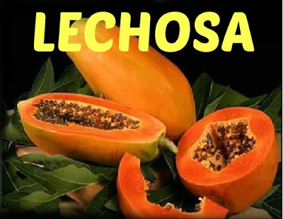 santiago30caballeros.com: Lechosa se escribe con s, no lechoza