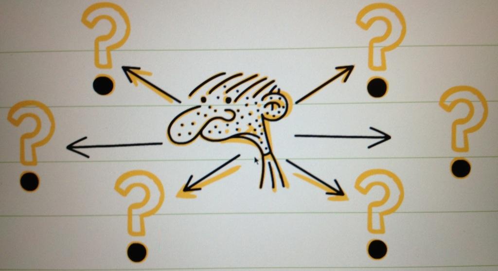 Jeff Kinney's Diary of a Wimpy Kid: The Third Wheel Updates ~ Kernel's ...