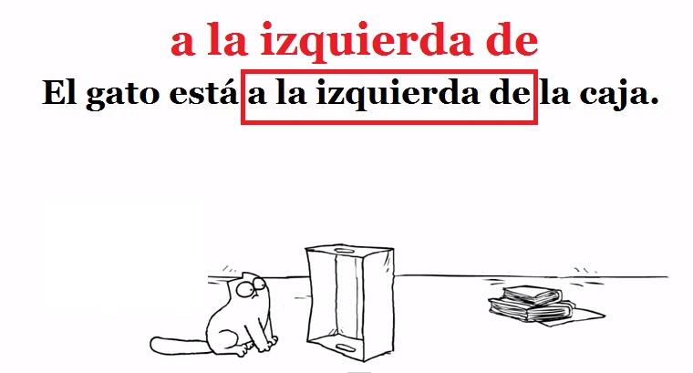 Español por Skype: ¿Dónde está el gato? (A1, preposiciones)