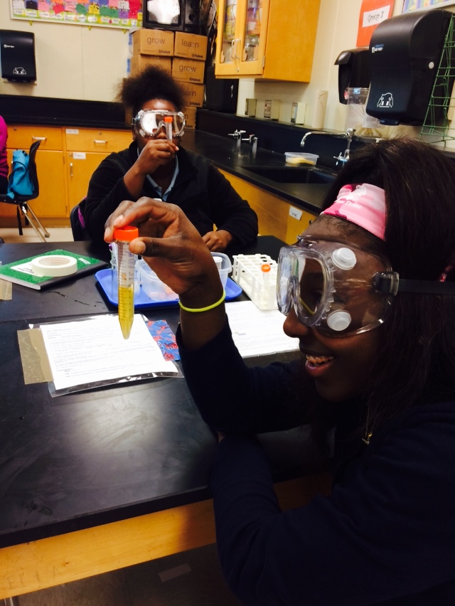 Mrs. Greeley Howard’s Biology Class: DNA extraction lab