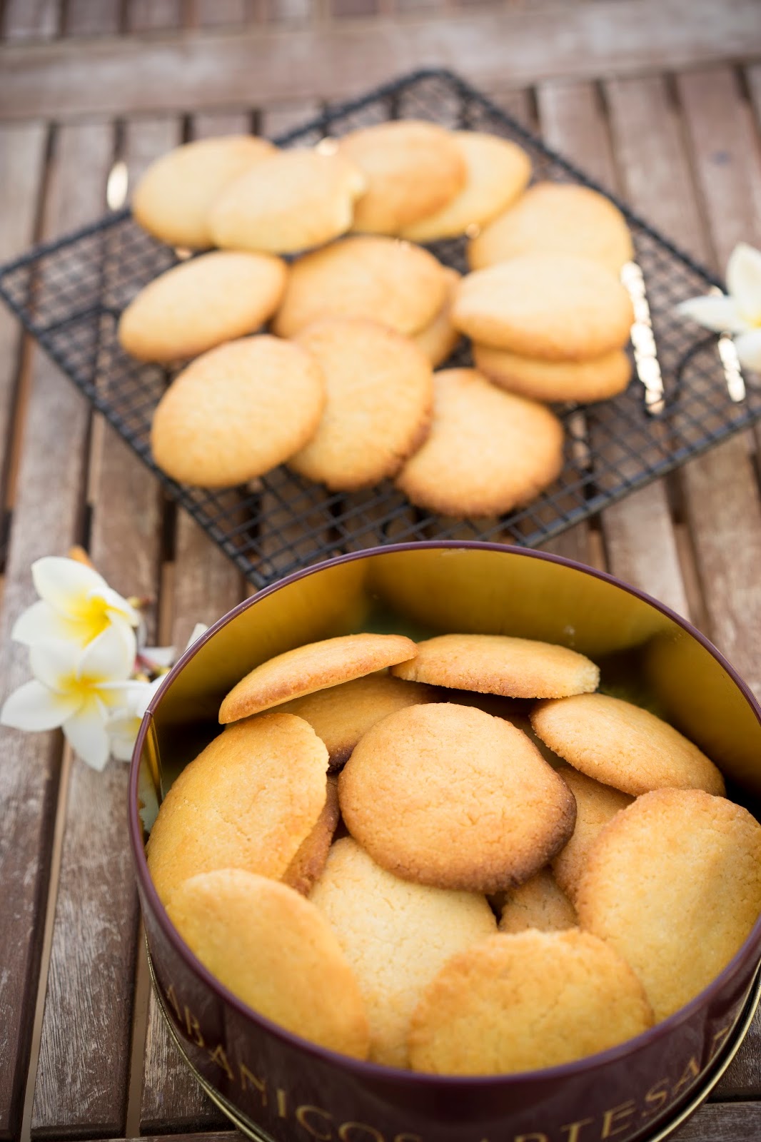 Mis thermofavoritos: GALLETAS RÚSTICAS