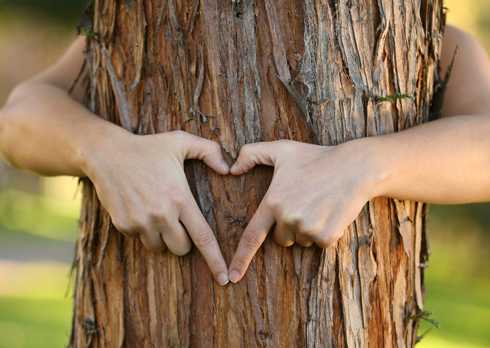 a little faith~a lot of heart: Tree Hugging Now Scientifically Proven