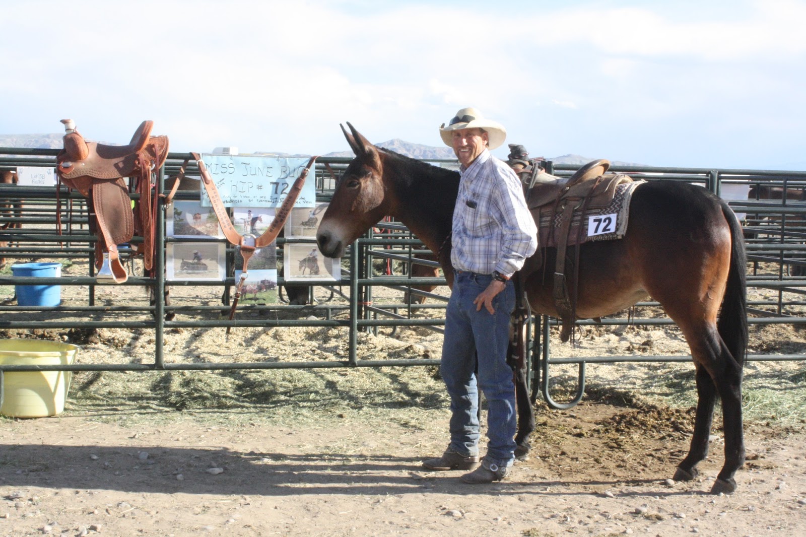 PairADice Mules: High Selling Mule