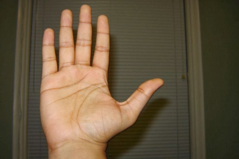 Less Lines Or No Lines On Palm Palmistry ~ INDIAN PALMISTRY | PALM ...