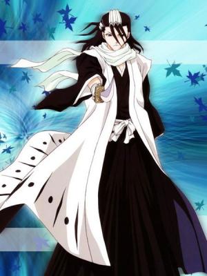 Bleach Cosplay Costumes: Bleach 6th Division Captain Kuchiki Byakuya ...