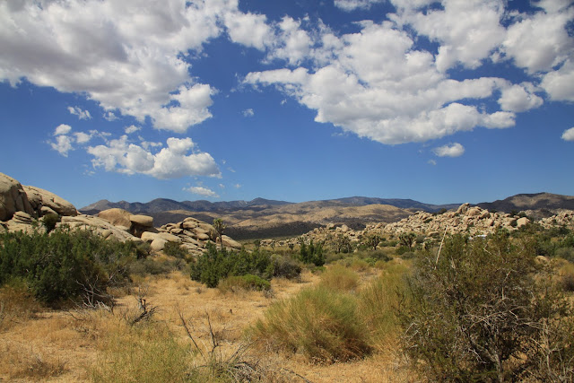 My Scenic Byway: High Desert Beauty