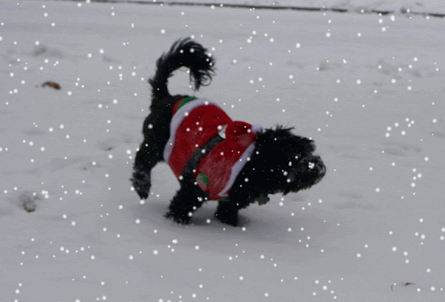 George Michael Snow Day