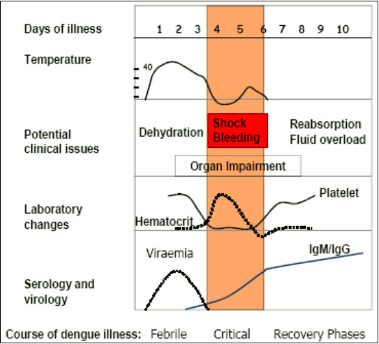ER goldbook: Dengue virus infection