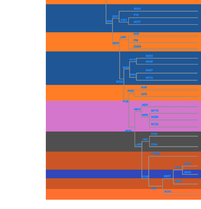 Genographic Project - National Geographic Human Family Tree