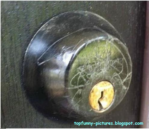 Funny Pictures: Door locks drunks