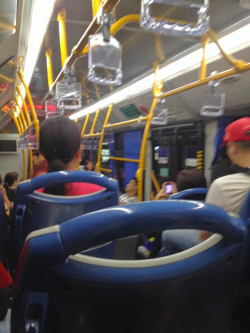 The Exiled Prince: RIDING THE GREEN FROG BUS