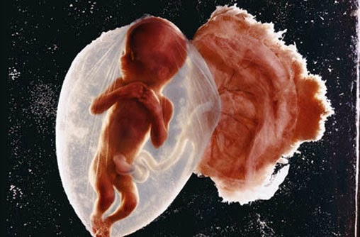 Higher Perspective: 33 Images That Changed The World