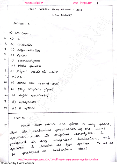 12th Bio-Botany | Half Yearly Exam Answer Key - English Medium ...