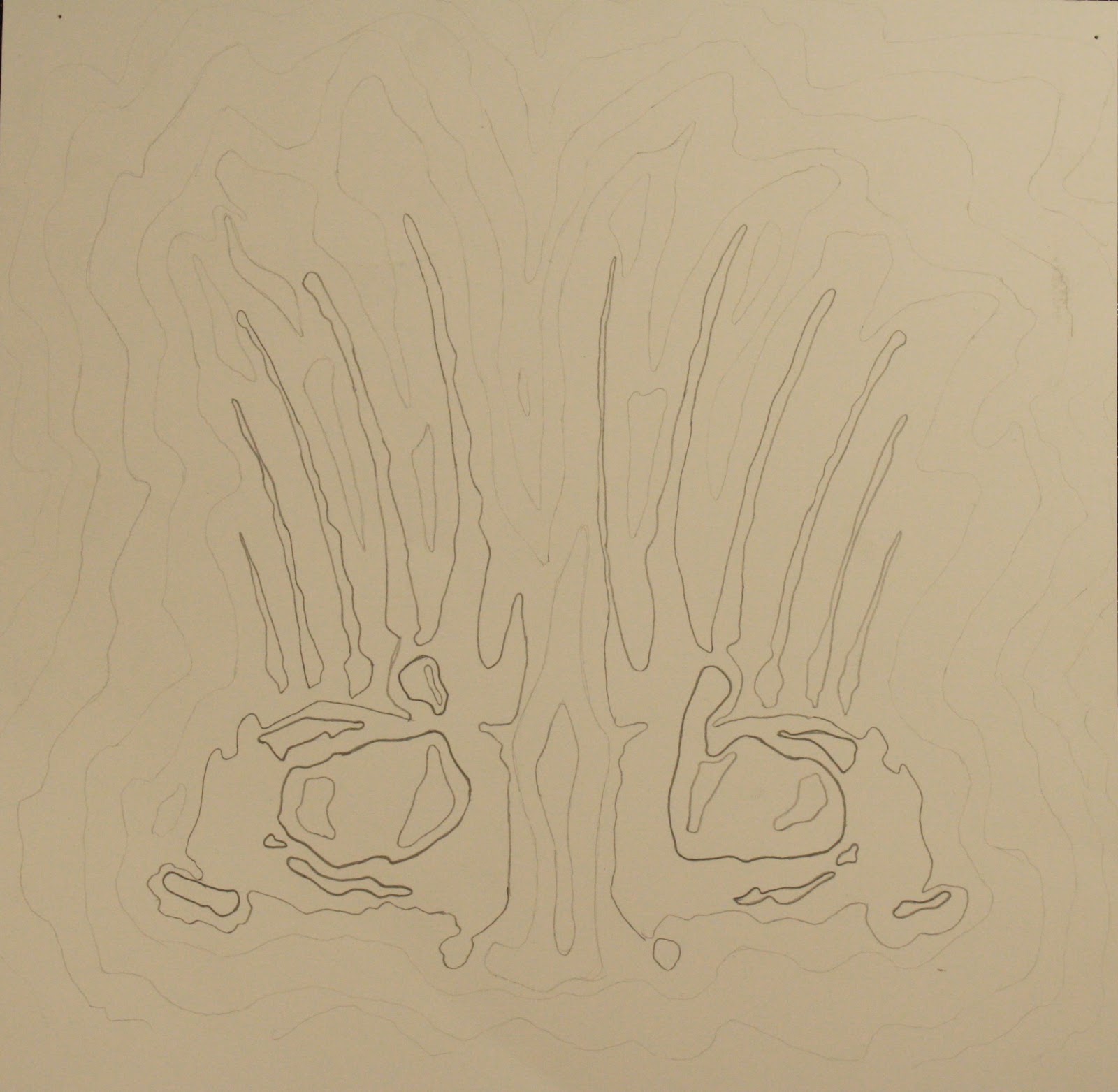 Horta's Corner: Danielle Fitzsimmons - Project One - Week One