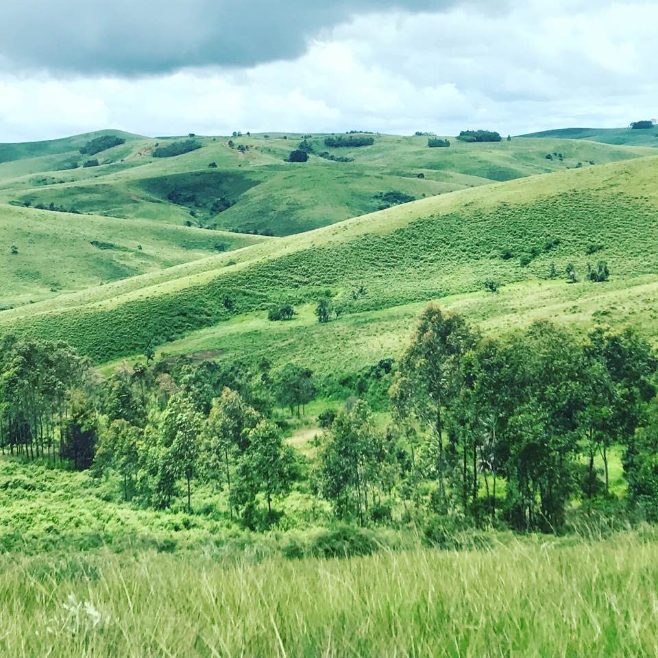 Inside Arewa News: Pictures from the Mambila Breathtaking Beautiful ...