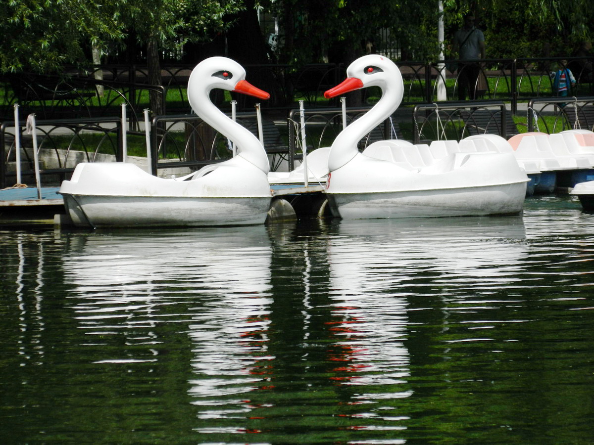 LA MULTI ANI, ROMANIA!: Barci in forma de lebada in parcul IOR