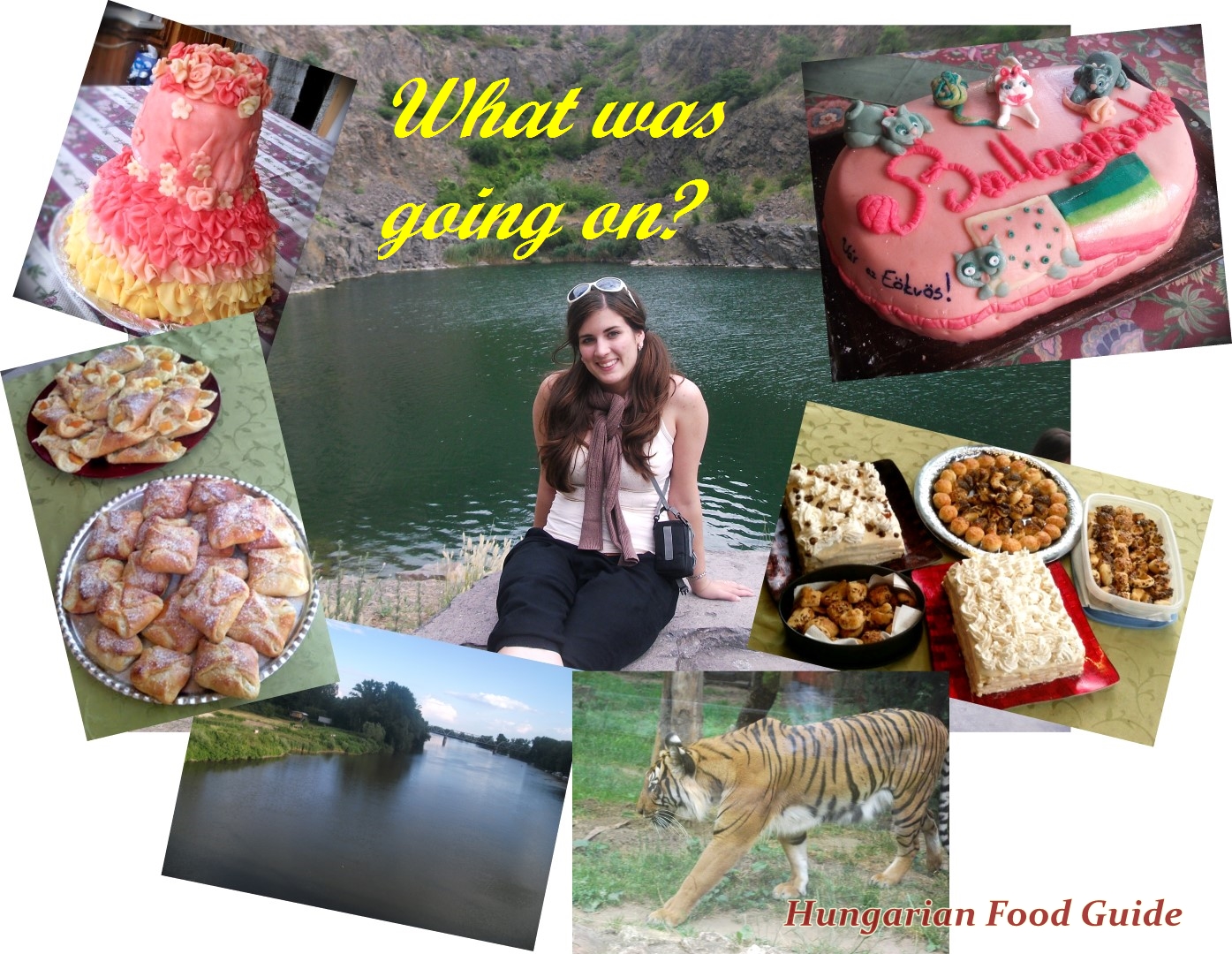 Hungarian Food Guide: 2015