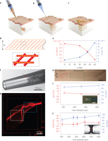 Nano-view of the brain with syringe injectable electronics ...