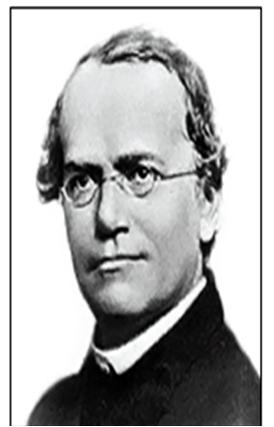 Bio-Trabalho: Gregor Mendel (189º Aniversário)
