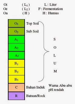 Geografi Tanah Unila: Proses Pembentukan Tanah