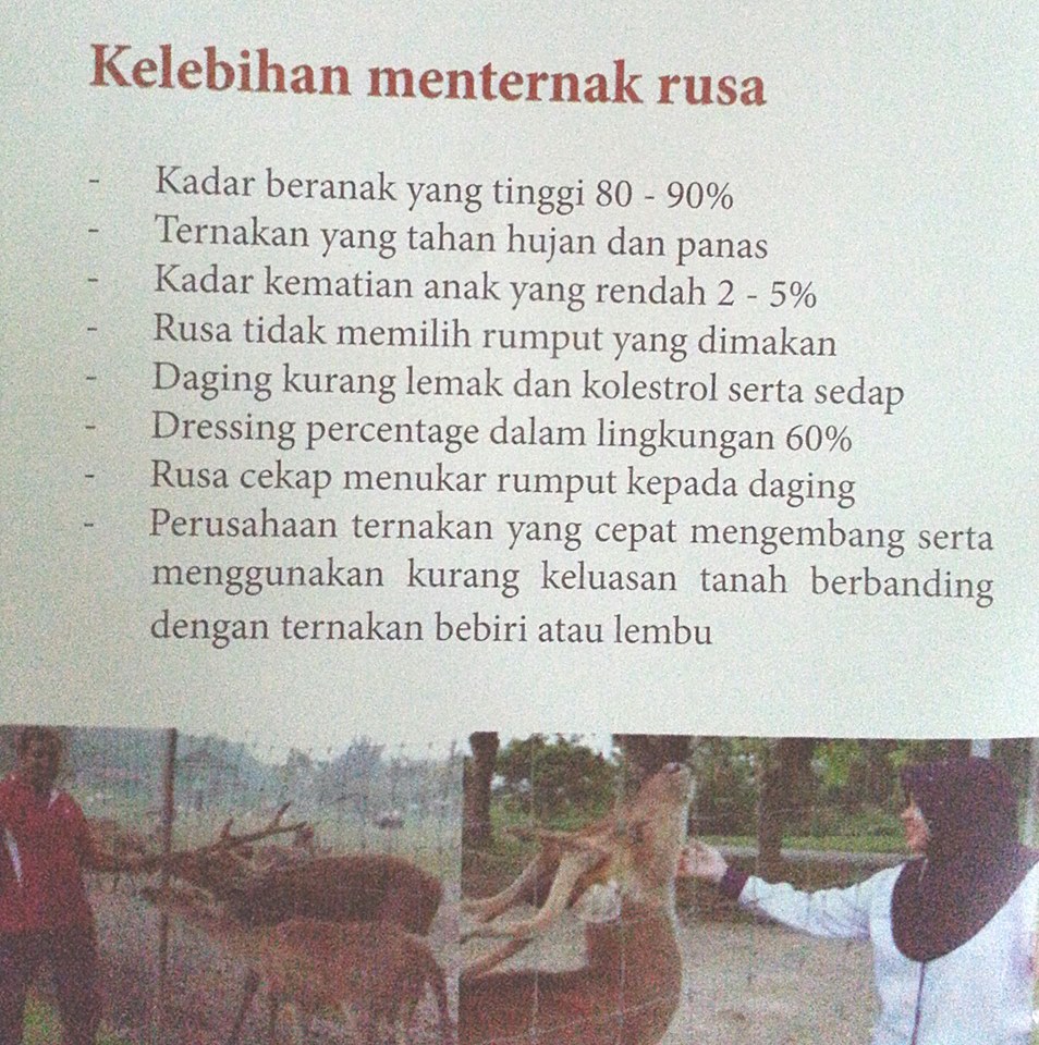 Ladang Rusa Permatang Sungkai Village: JENIS-JENIS RUSA