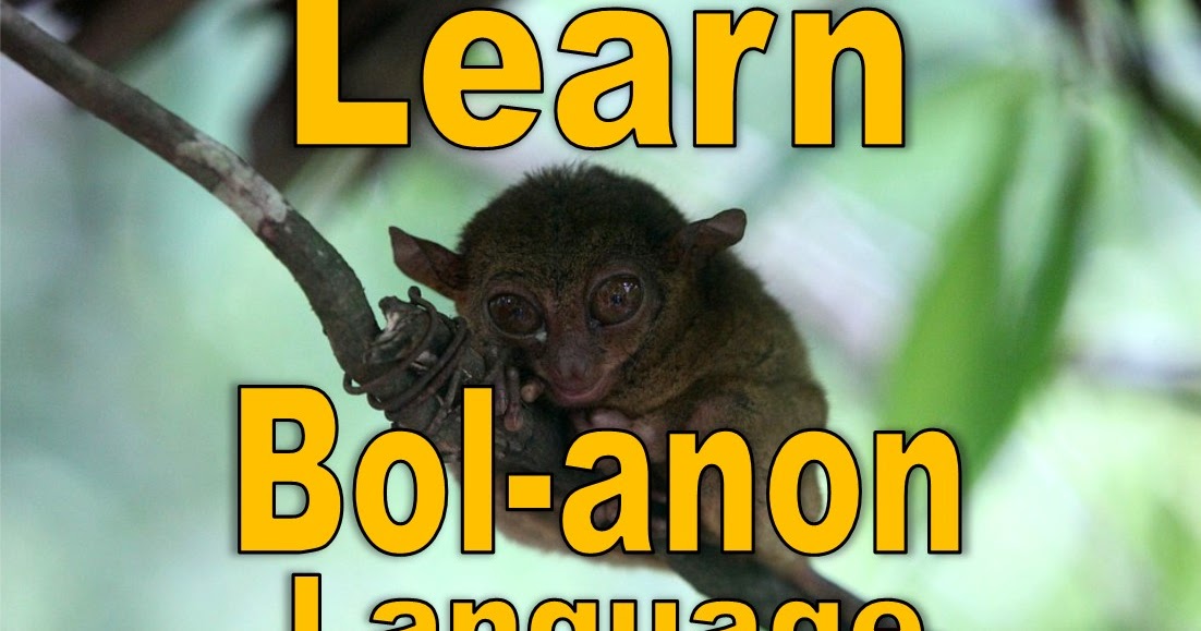 Learn Boholano Bisaya in Aliciahanon Way: LESSON 1: Common Bisaya Words ...