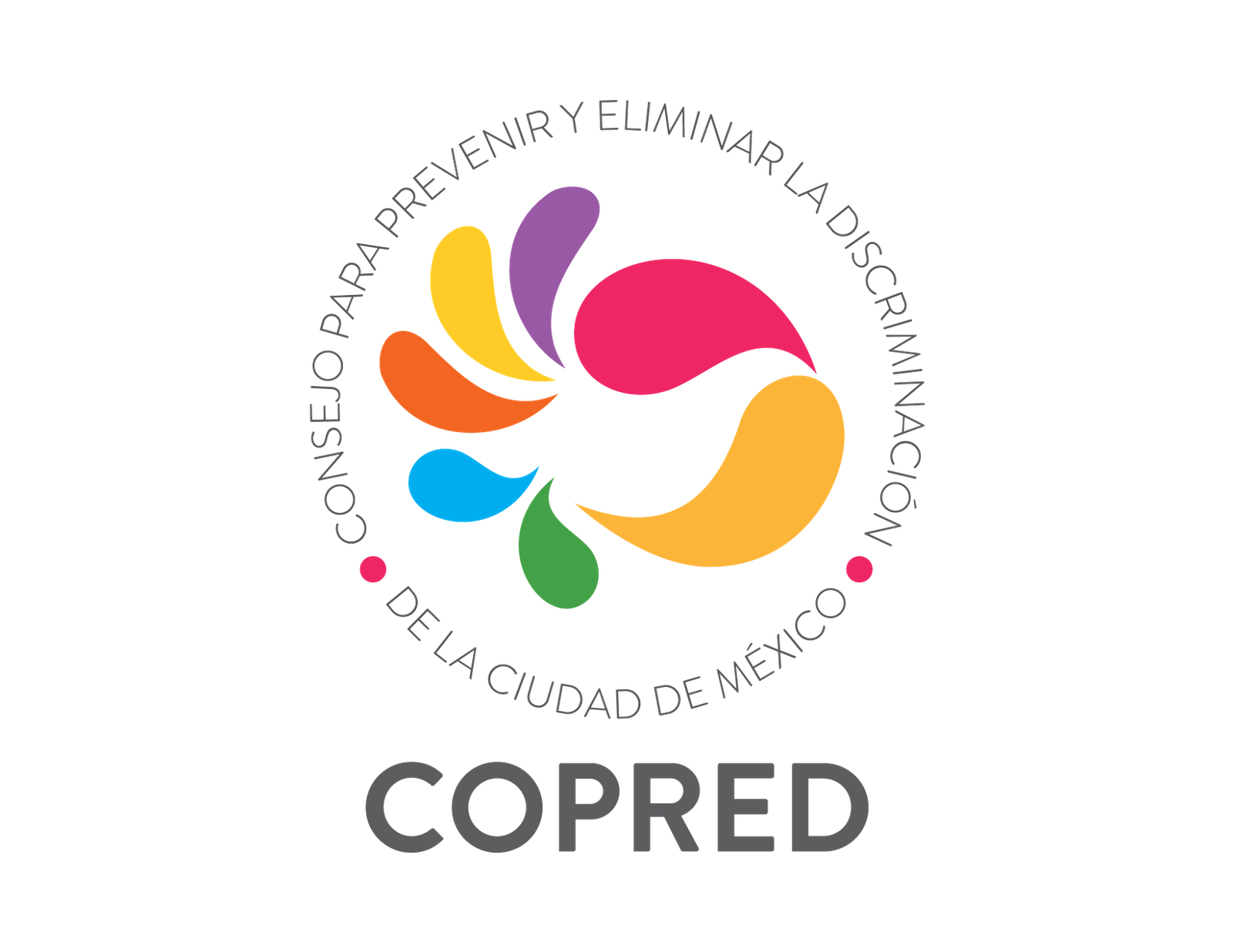 Consejo para Prevenir y Eliminar la Discriminación de la Ciudad de ...