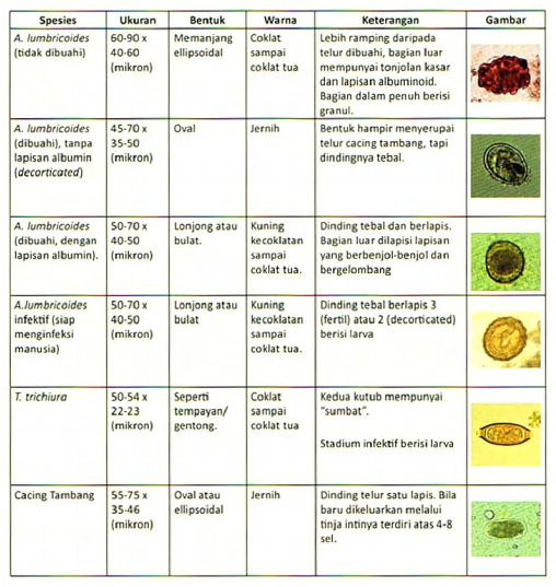Pharmcrea: Desember 2016