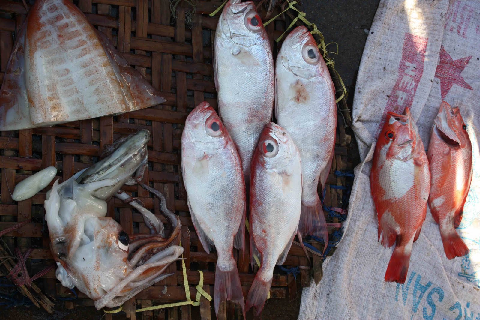 The World Tastes Good: Weekend Escape to Dong Hoi