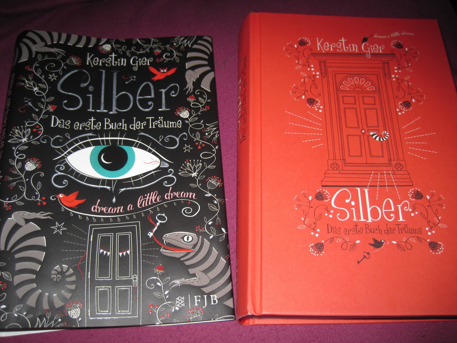 Sani's Wühlkiste: Rezension "Silber" von Kerstin Gier