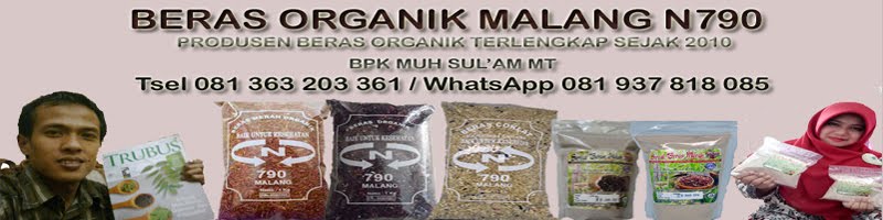Jual BERAS Organik Malang l BERAS MERAH Organik Malang l Beras HITAM ...