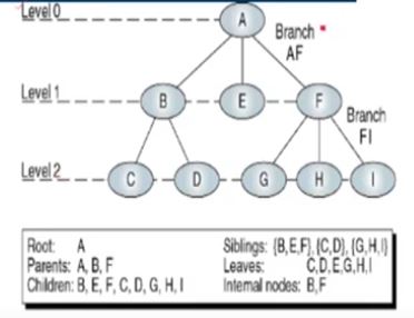 Basic Tree Concepts - GATE (CS/IT)