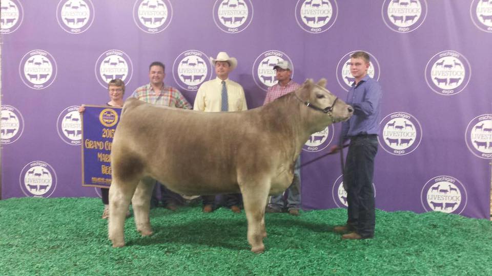 Executive Sires, Inc.: Original Monopoly - Already Dominating the 2015 ...